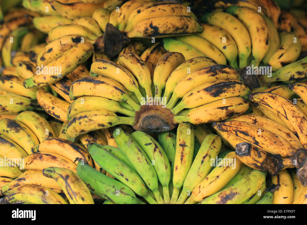 Pile of banana at fruit market Stock Photo - Alamy