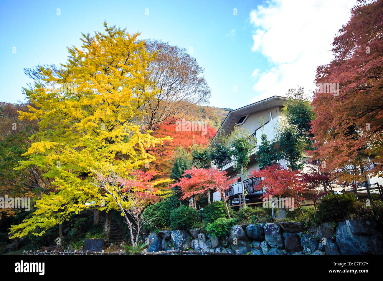 Mount Hiei, Japan - Nov 22, 2013: The Mount Hiei scenery in Kyoto ...
