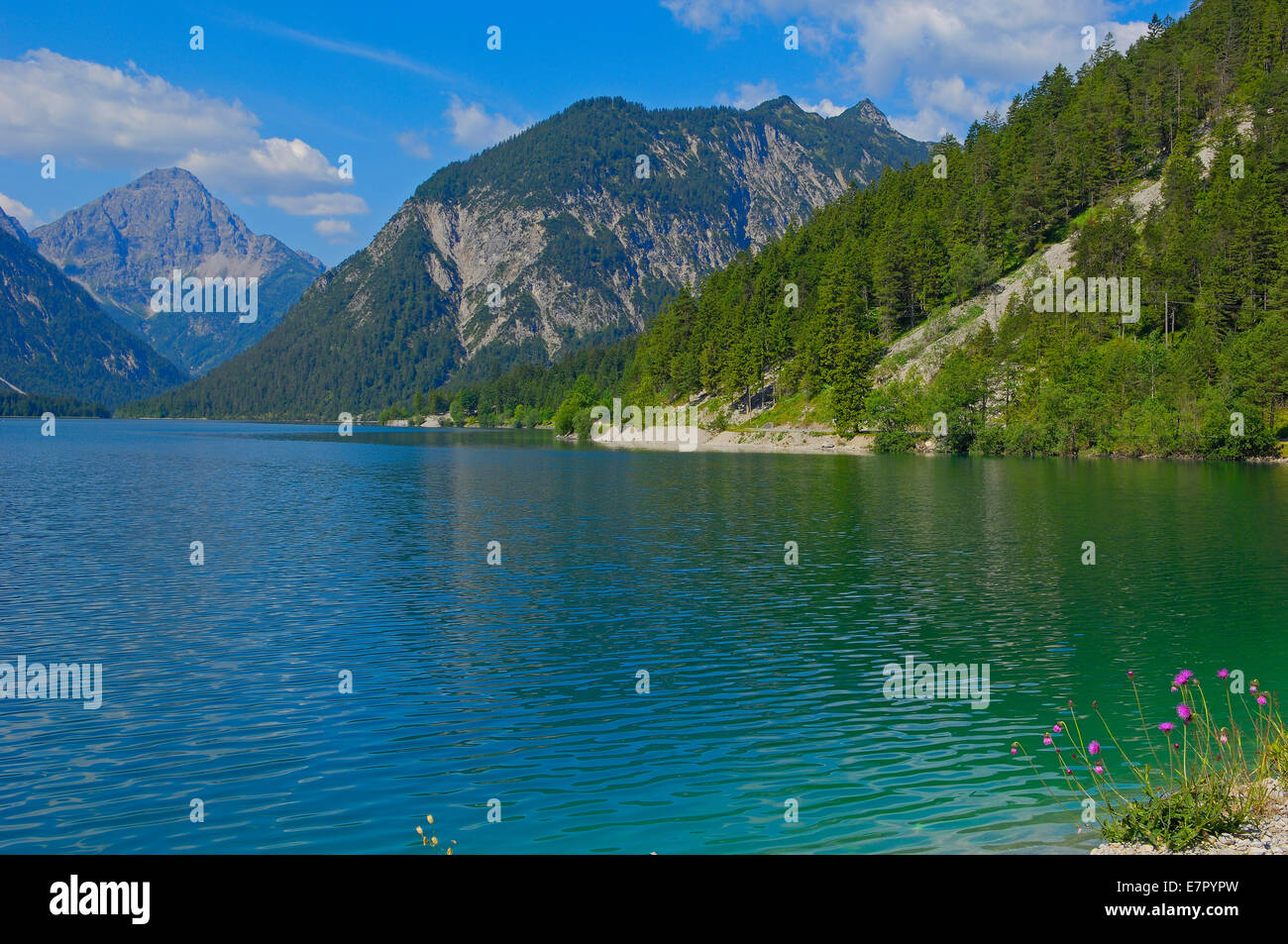 Austria, Plansee, Tirol, Lake Plansee, Seespitz, Ammergau Alps Stock ...