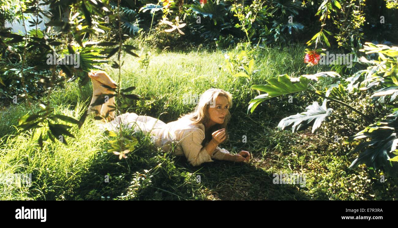 Adaptation Year : 2002 USA Director : Spike Jonze Meryl Streep Stock ...