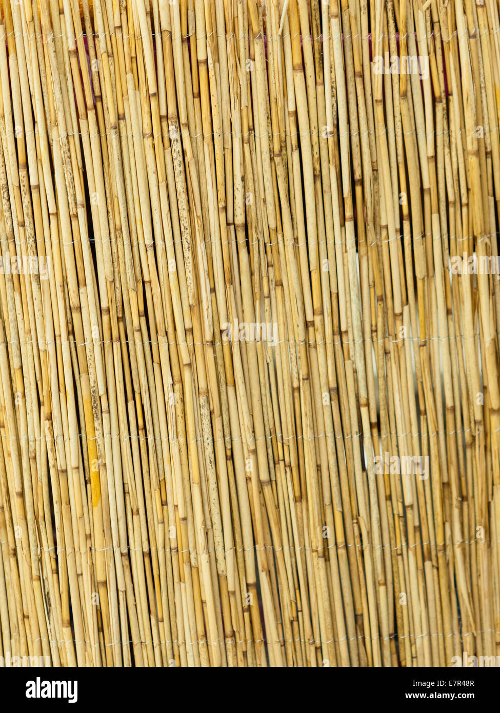 Yellow straw mat dried grass surface pattern background texture Stock ...