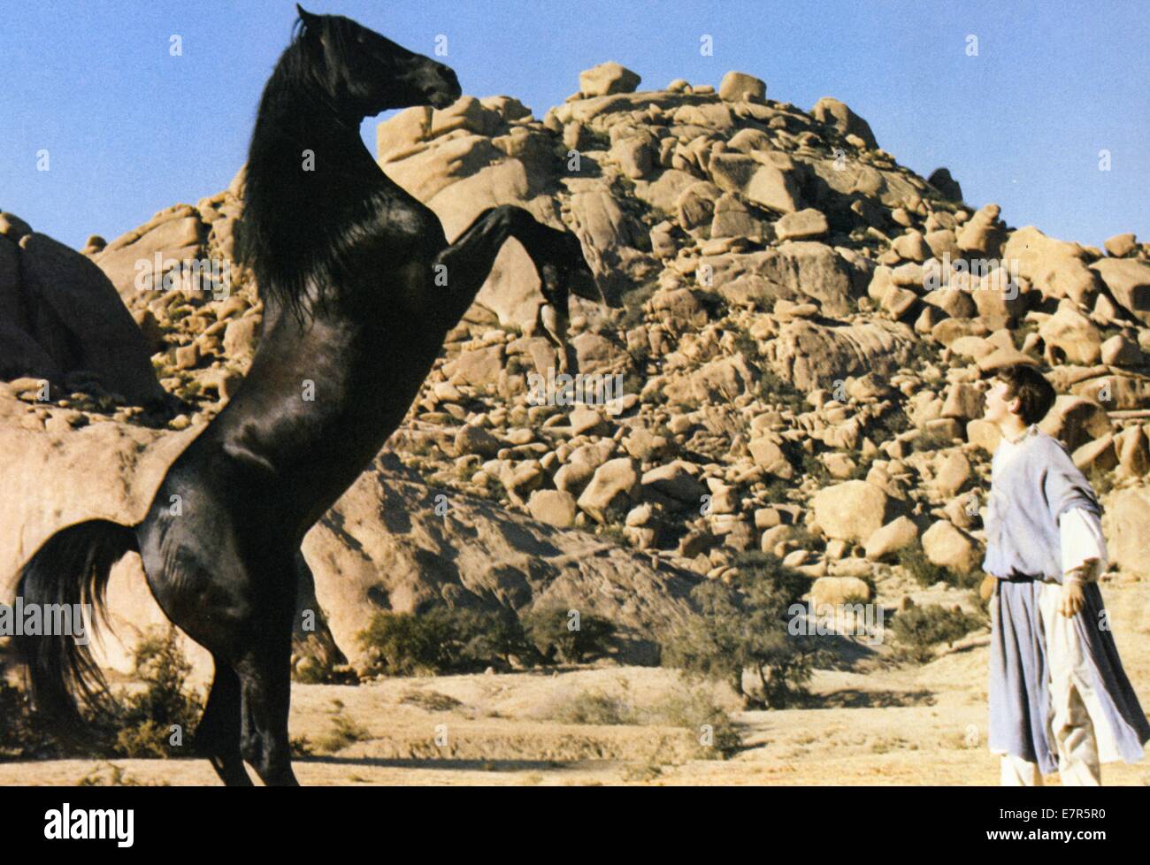 Kelly reno hi-res stock photography and images - Alamy