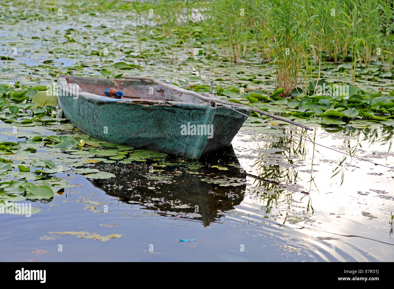 Old Row Boats on a Lake Stock Photo - Alamy