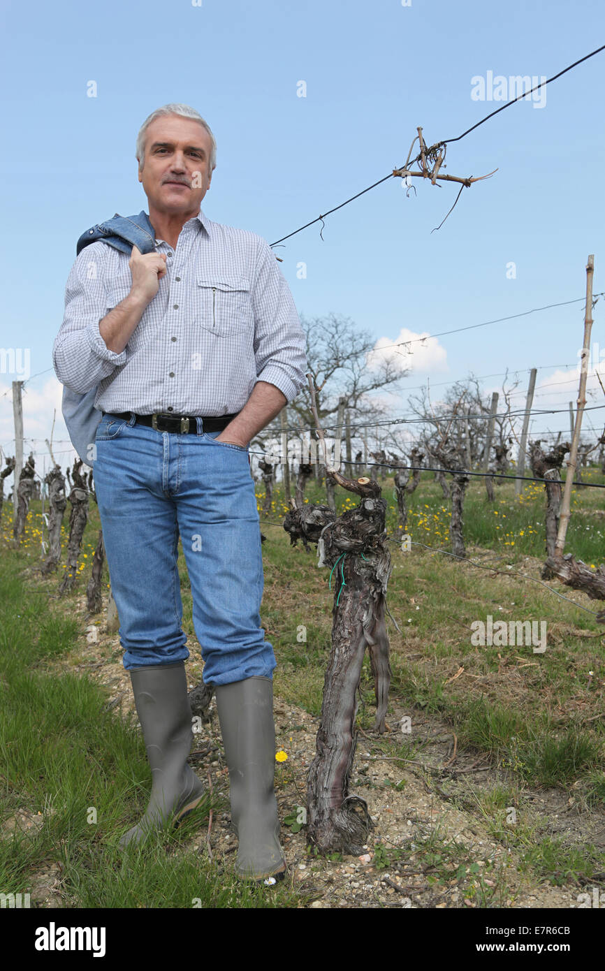 Vintner in autumn Stock Photo - Alamy