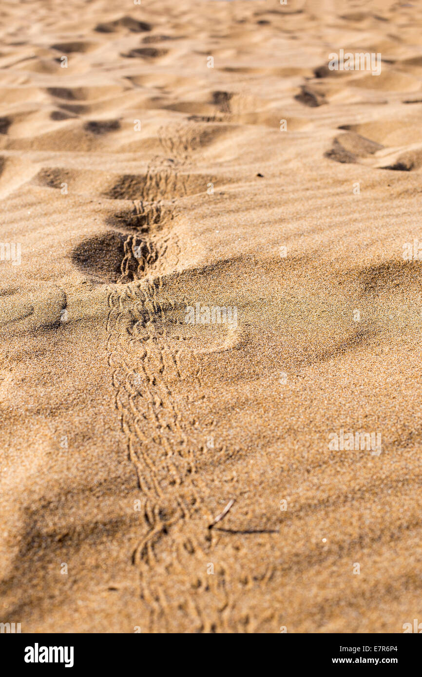 Beach sand soil hi-res stock photography and images - Alamy