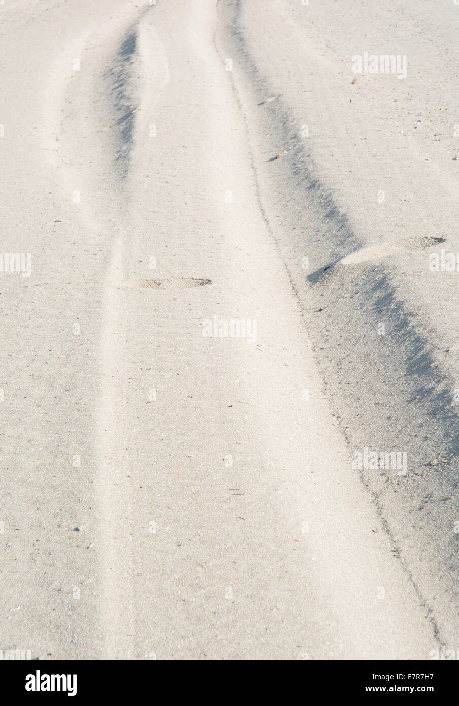 Sand tracks and footprints crossing in fine white sand. Mallorca ...