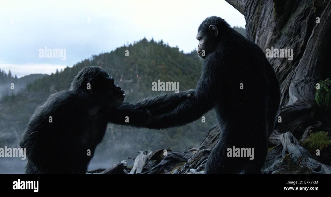 Ape gesture hi-res stock photography and images - Alamy