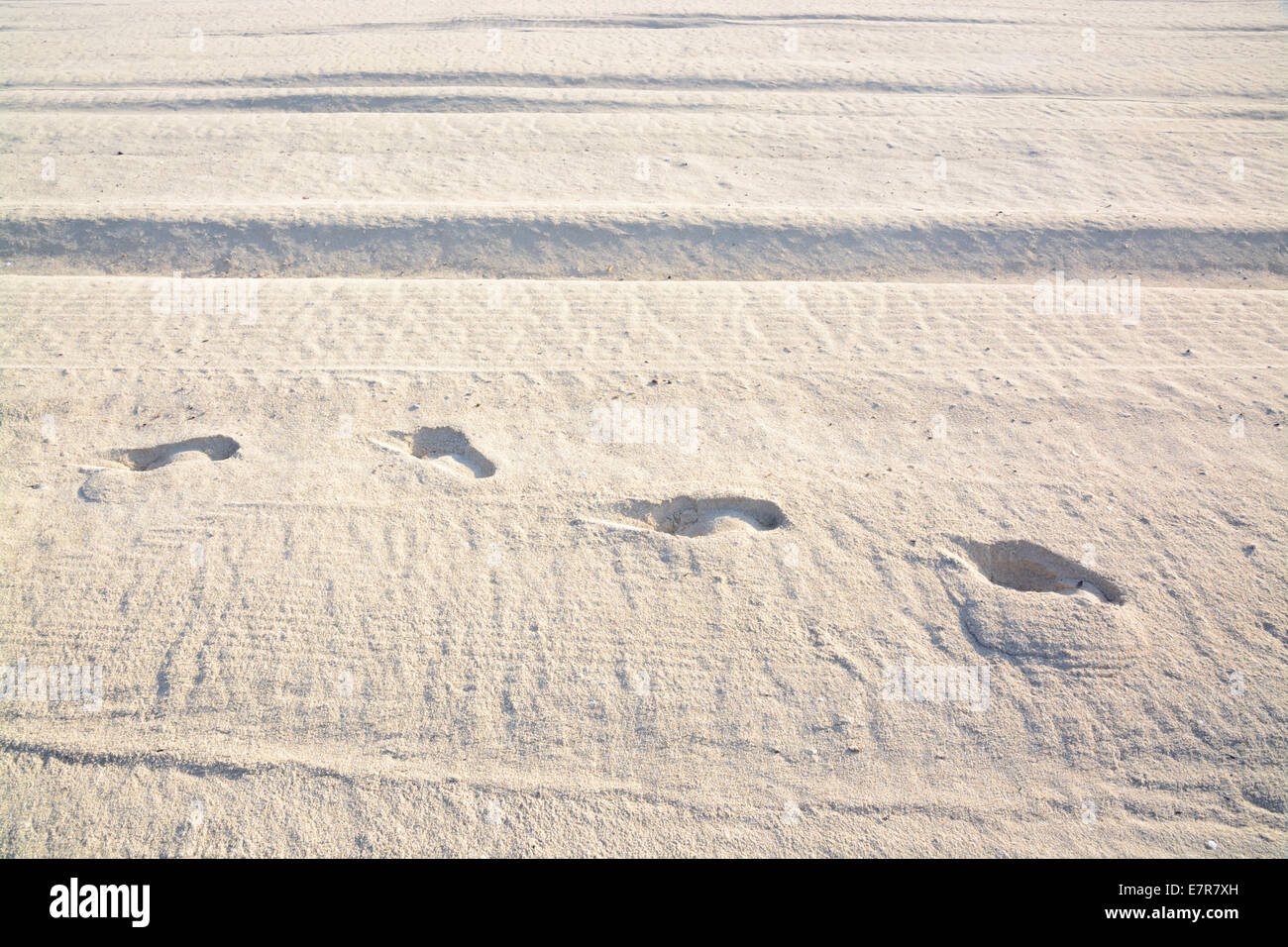 Sand tracks and footprints. Mallorca, Balearic islands, Spain Stock ...
