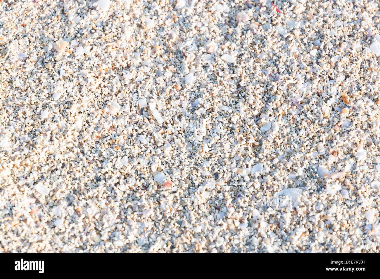 Seashells background. Mallorca, Balearic islands, Spain in July Stock ...