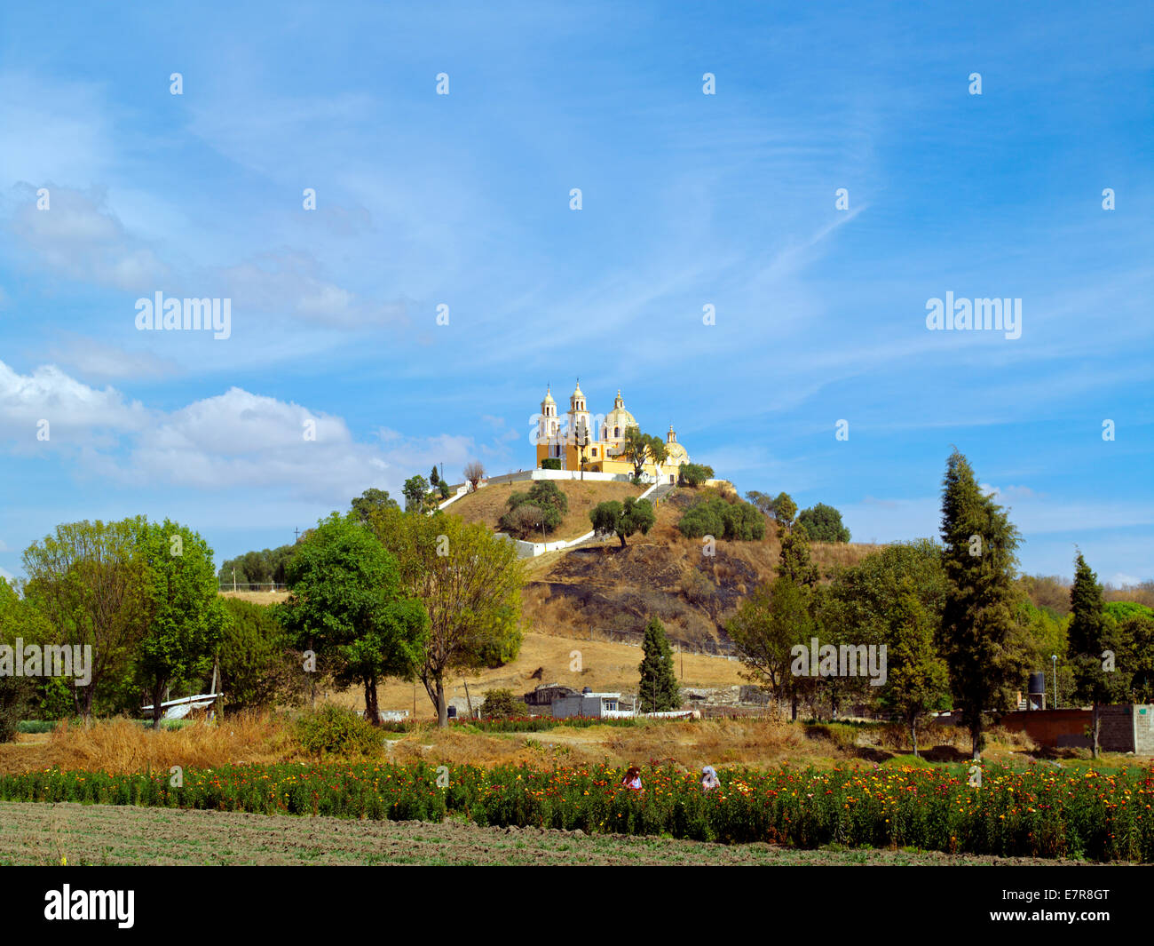 Flower harvesters work away below the Tepanapa Pyramid in Cholula Stock ...