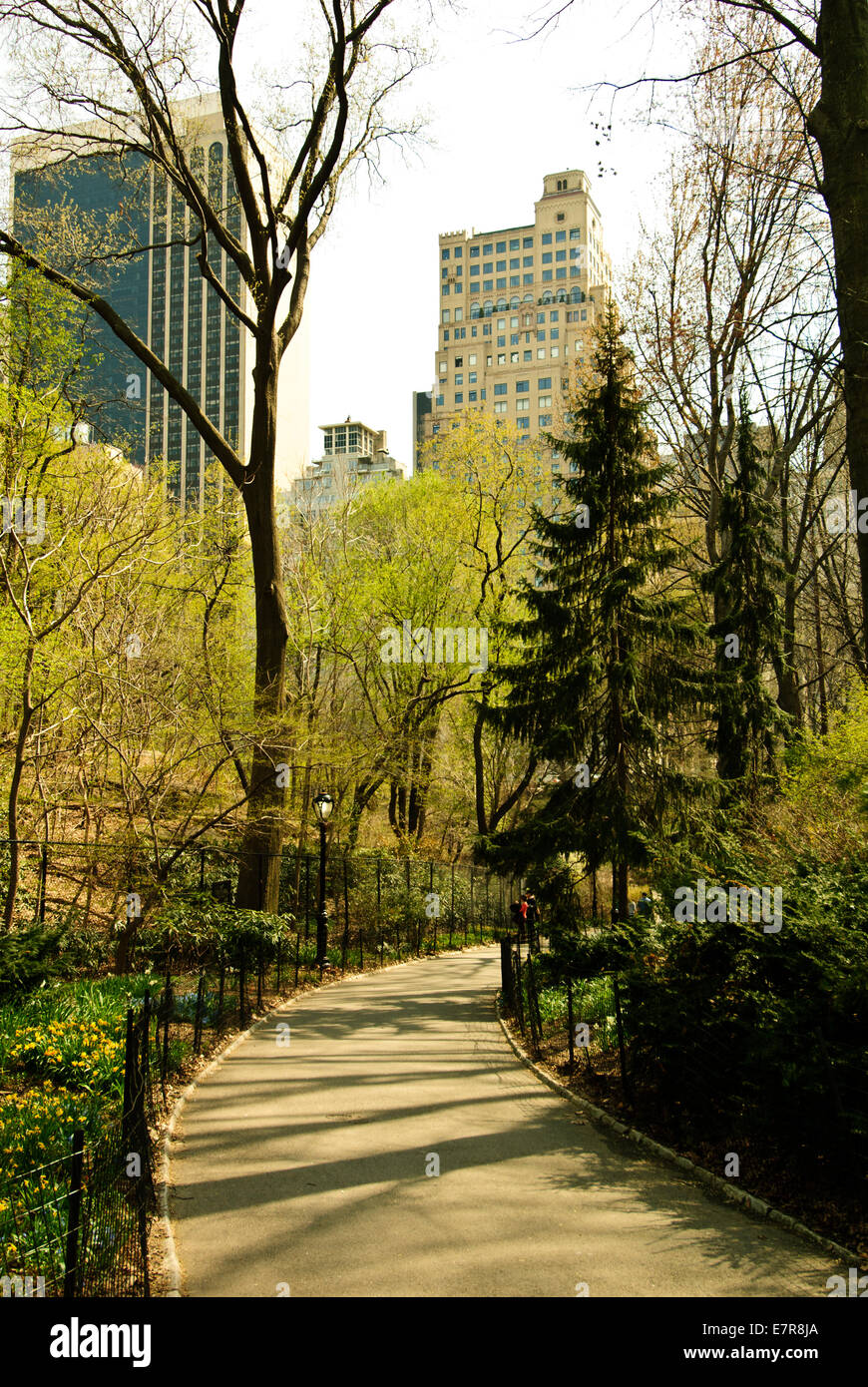 Views of New York City,Icons,Street Life,Parks,Buildings,Areas ...