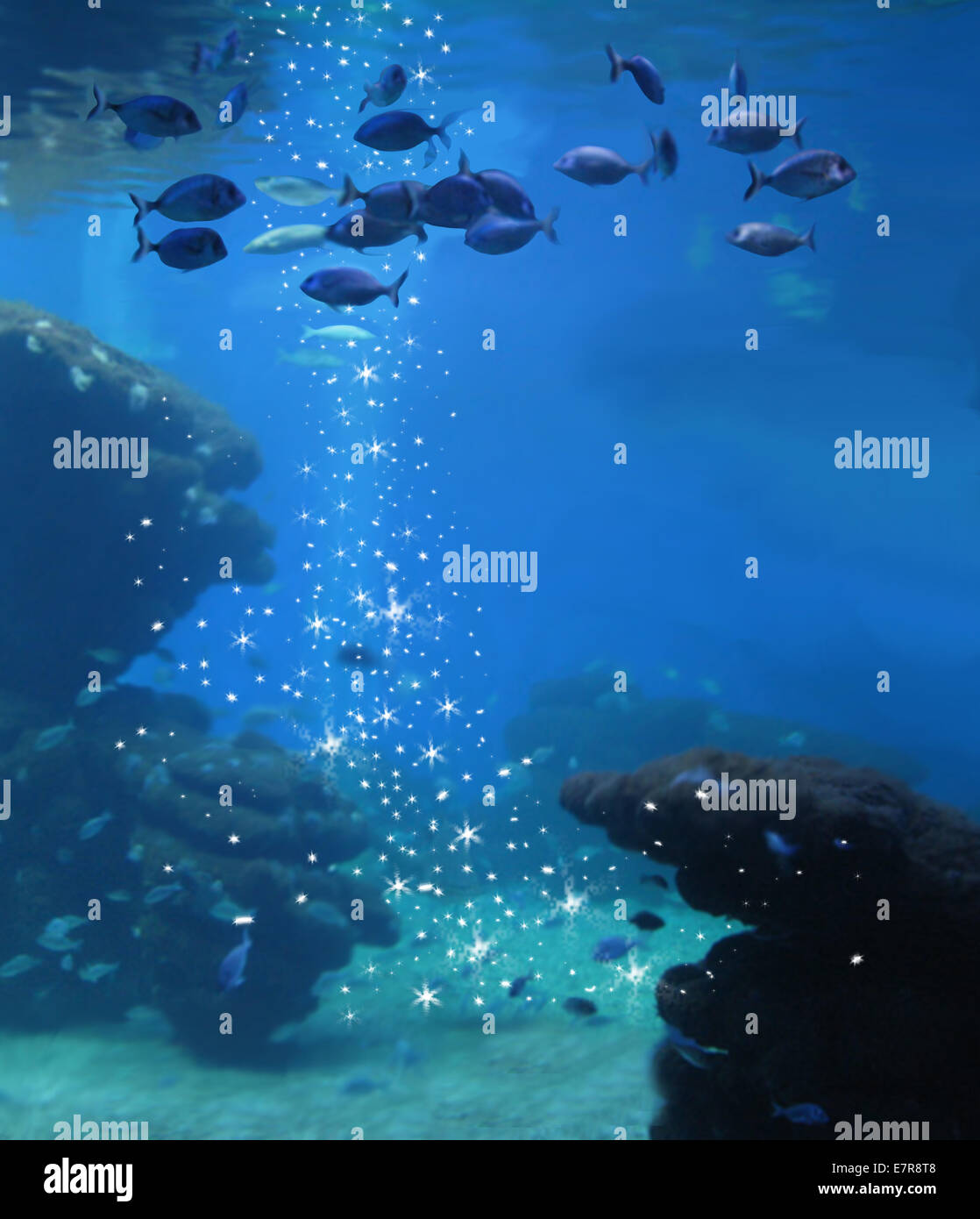 Fish swimming in natural marine blue environment while magic stars fall ...