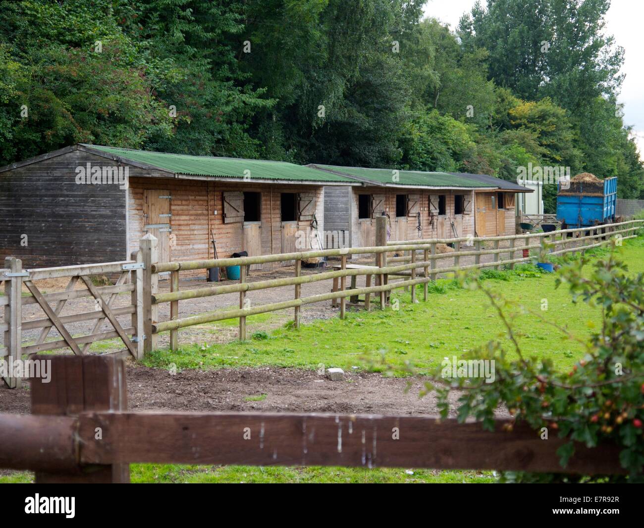 Farm animals images hi-res stock photography and images - Alamy