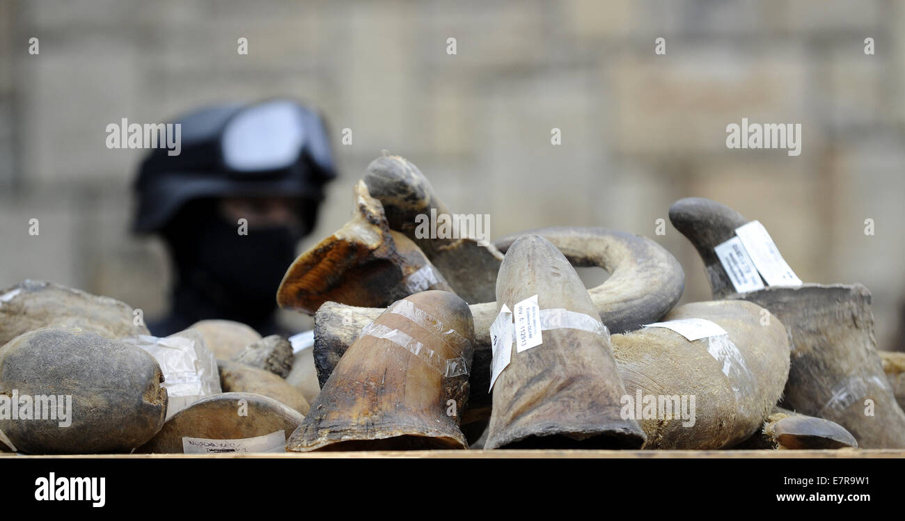 Zoo Dvur Kralove burned around 60 kilograms of rhino horns in Dvur ...