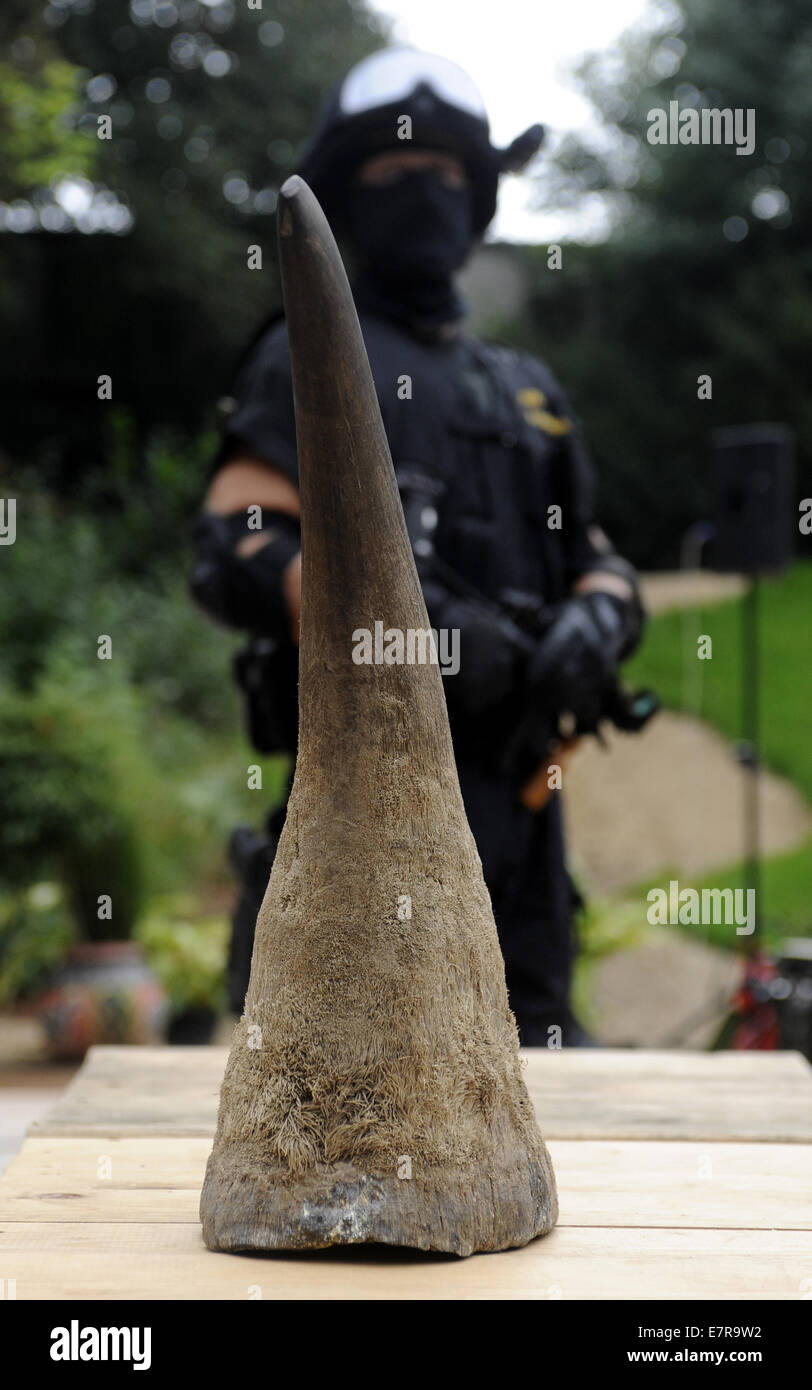 Zoo Dvur Kralove burned around 60 kilograms of rhino horns in Dvur ...