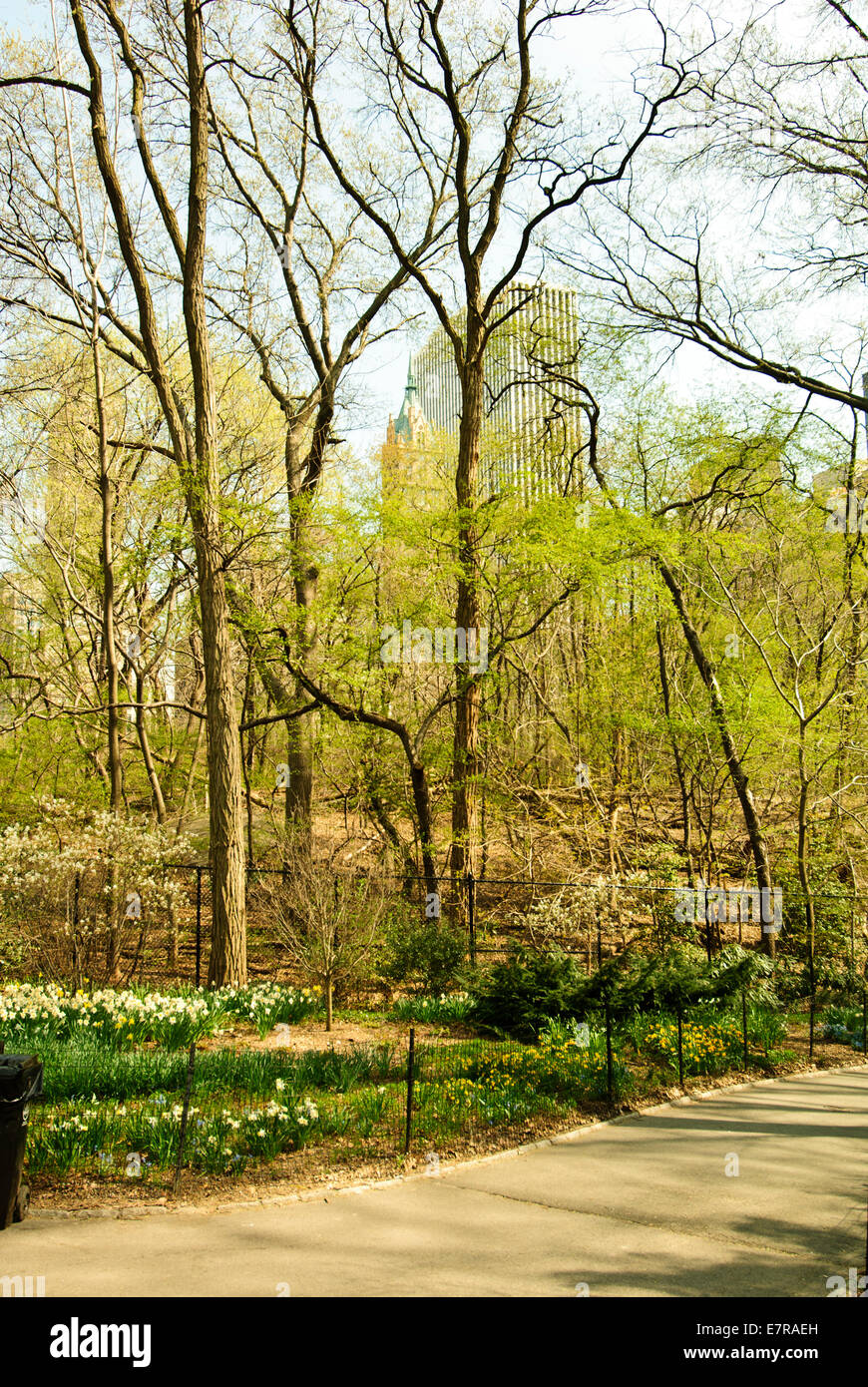 Views of New York City,Icons,Street Life,Parks,Buildings,Areas ...