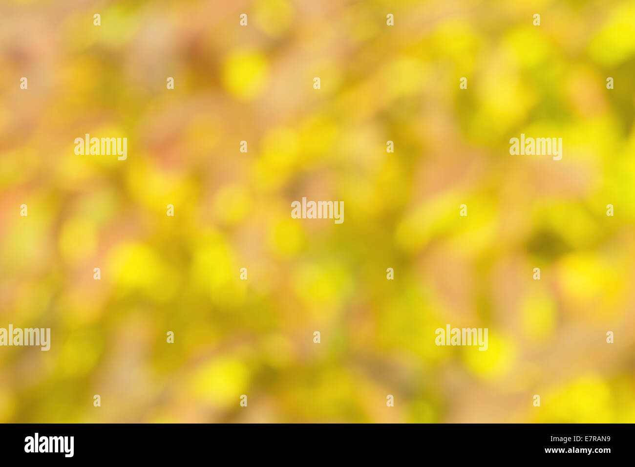 Fall background autumn foliage intentionally hi-res stock photography ...