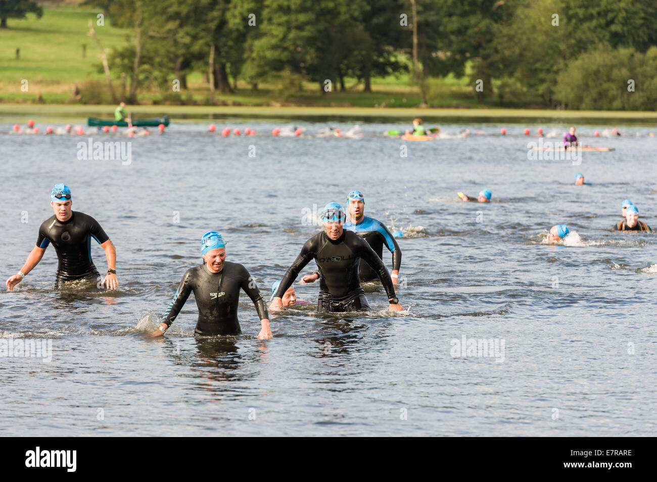 Triathlon swimmers hi-res stock photography and images - Alamy