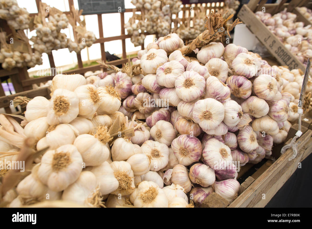 The Isle of Wight Garlic Festival, Newchurch, near Sandown, Isle of ...