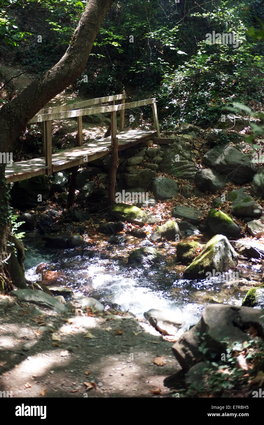 Small bridge at the jungle hi-res stock photography and images - Alamy