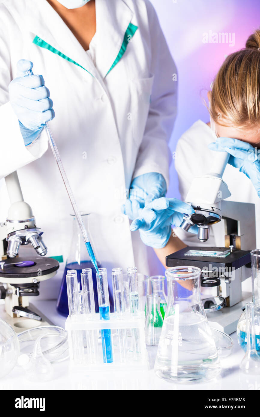 Two scientists in the chemical laboratory are doing experiments Stock ...