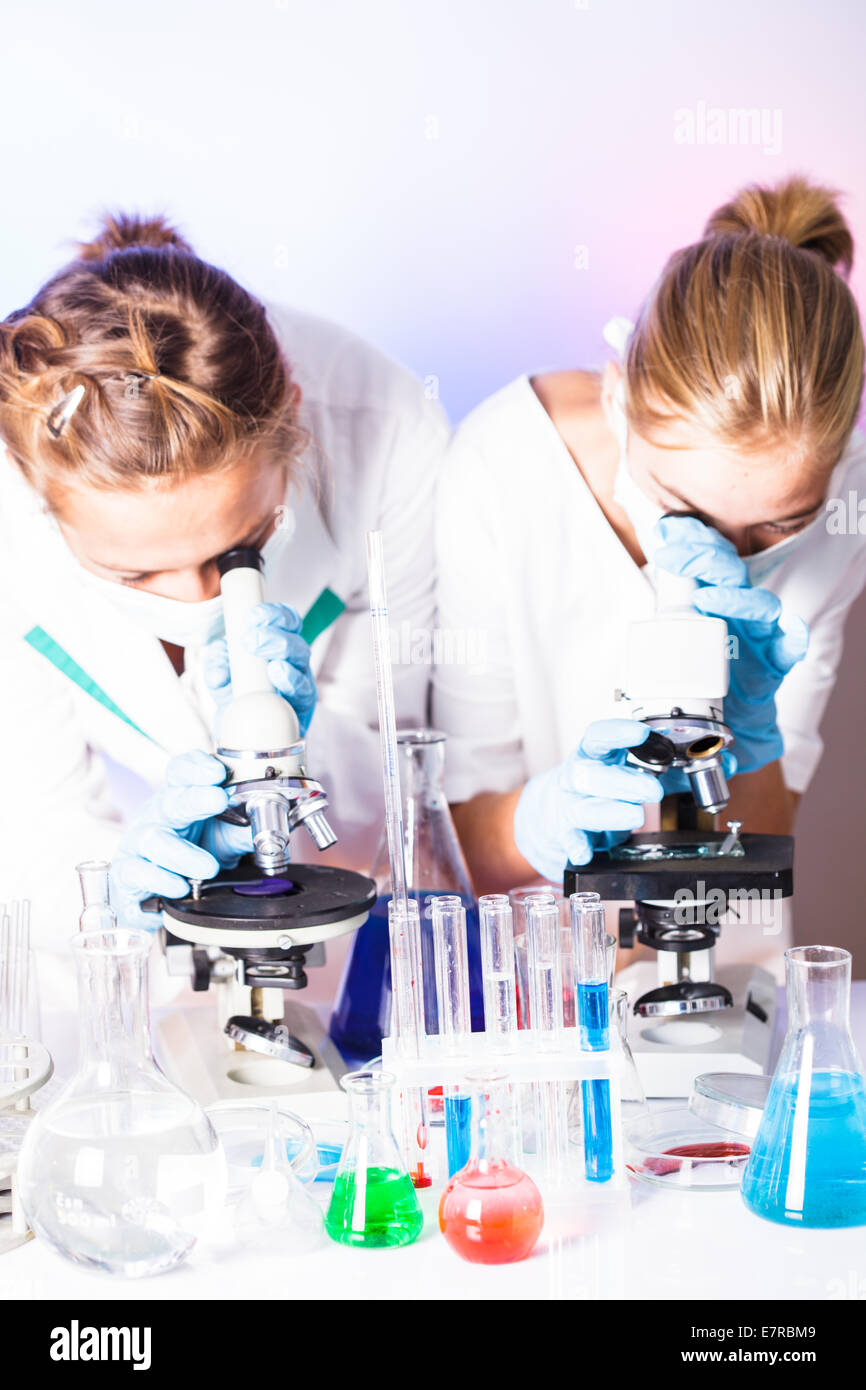 Two scientists in the chemical laboratory are doing experiments Stock ...