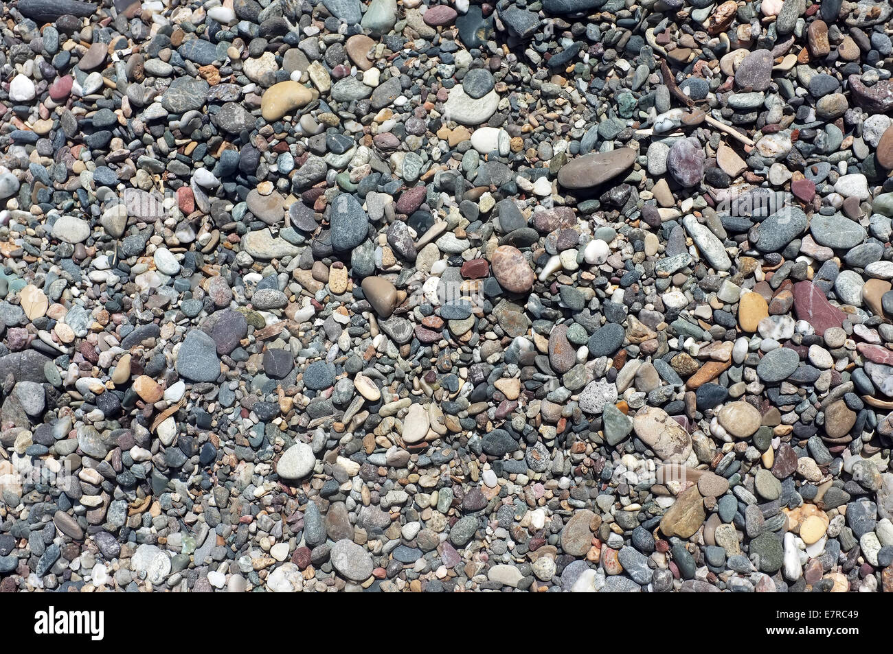 Pebbles on the beach Stock Photo - Alamy