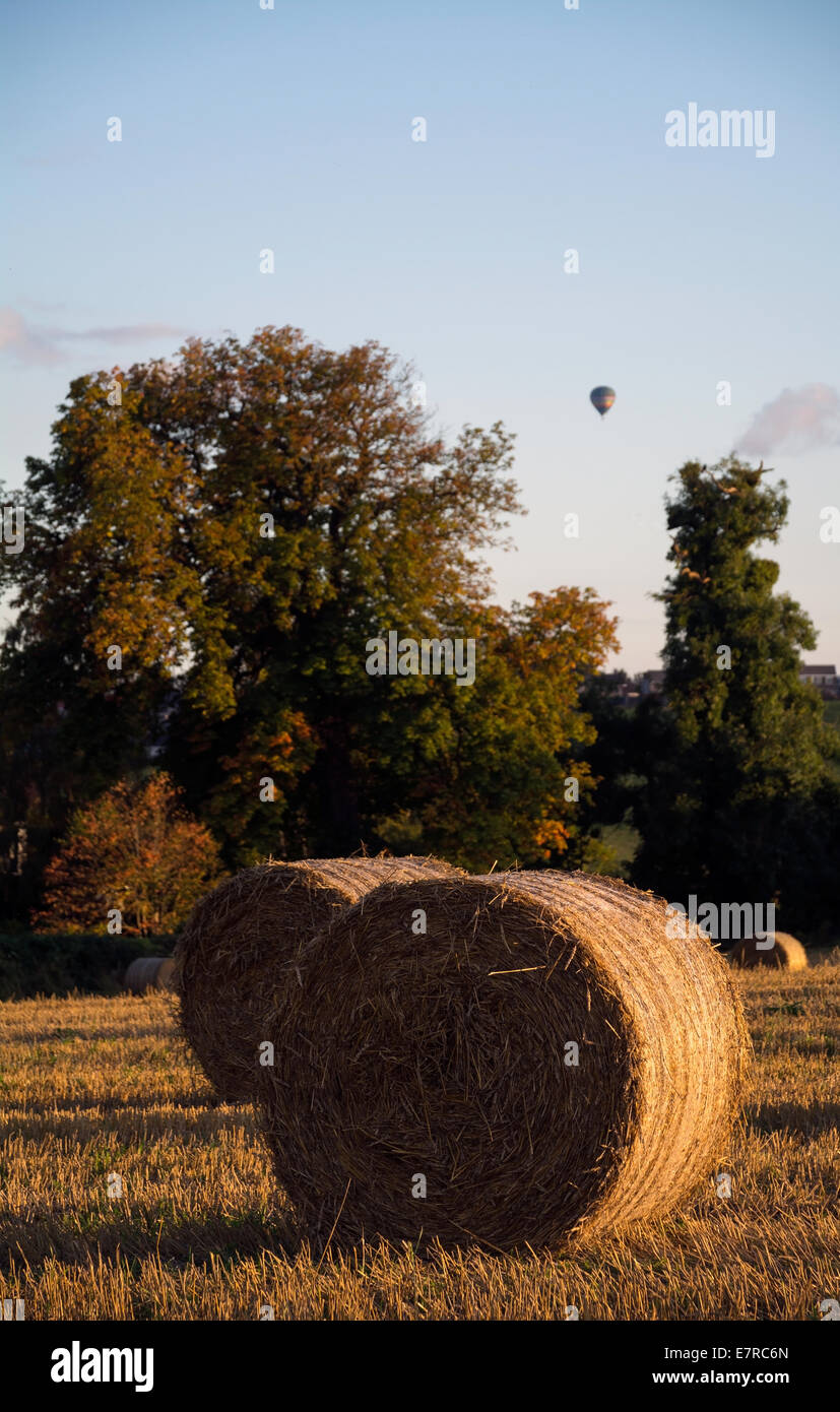 Round straw bales are now a common sight, these ones catching the ...