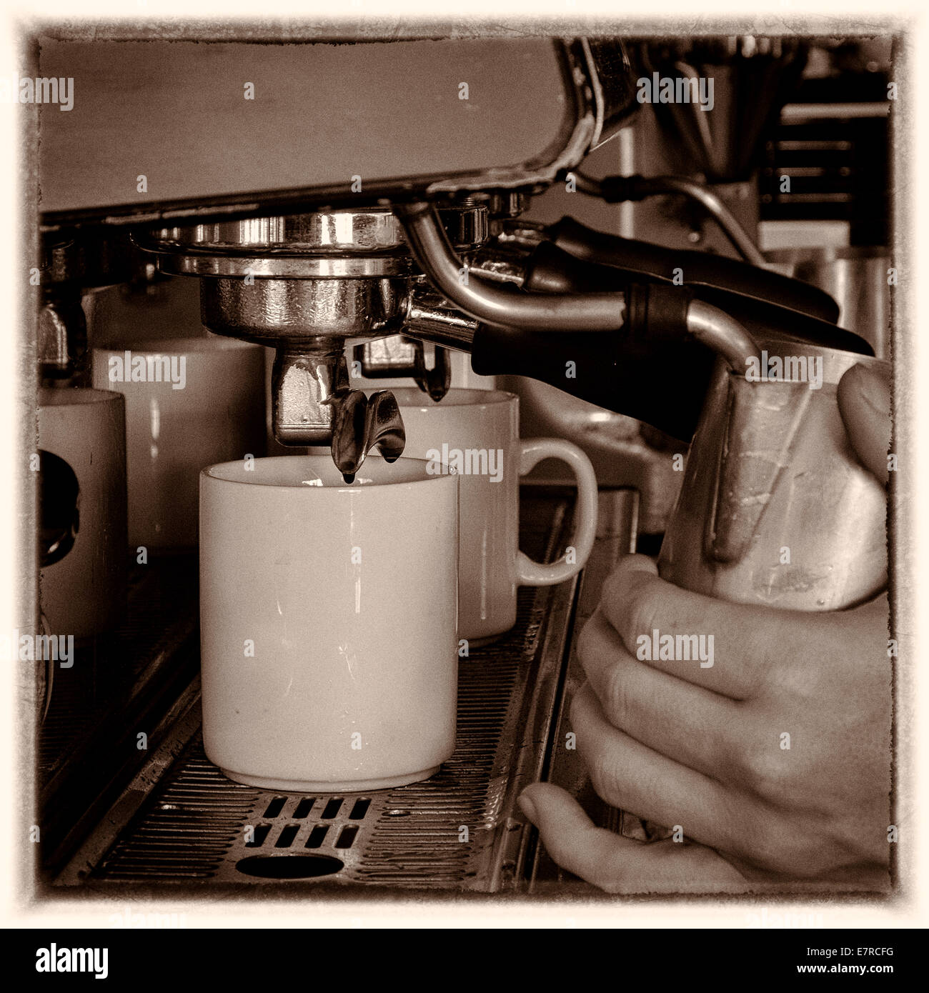 A barista makes espresso coffee Stock Photo - Alamy