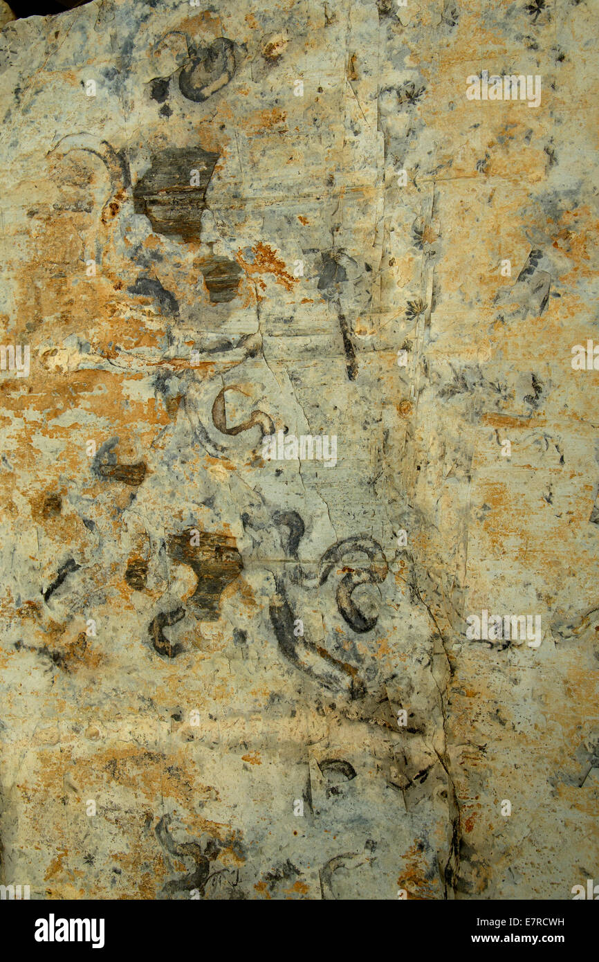 Background rock structure. Preview parts of natural rocks Stock Photo ...