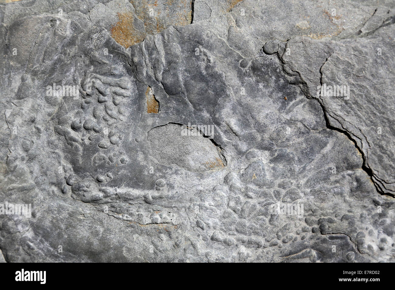 Background rock structure. Preview parts of natural rocks Stock Photo ...