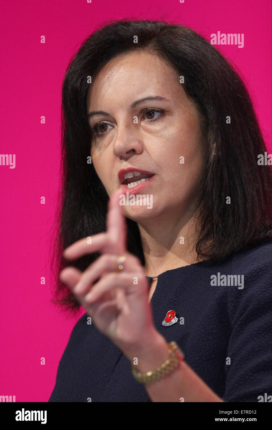 Shadow secretary of state for energy climate change caroline flint hi ...