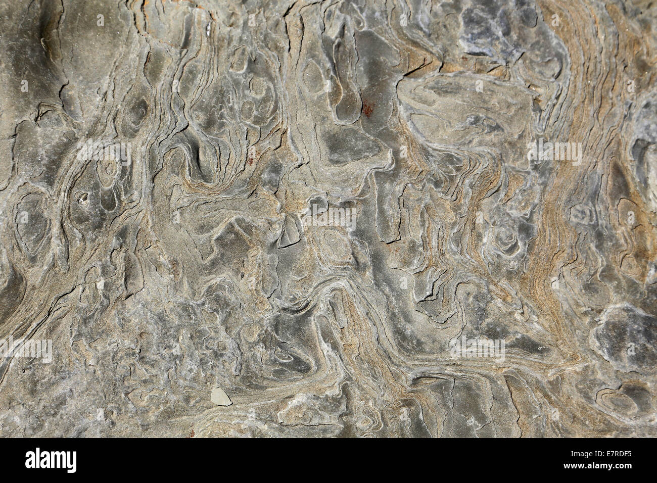 Background rock structure. Preview parts of natural rocks Stock Photo ...
