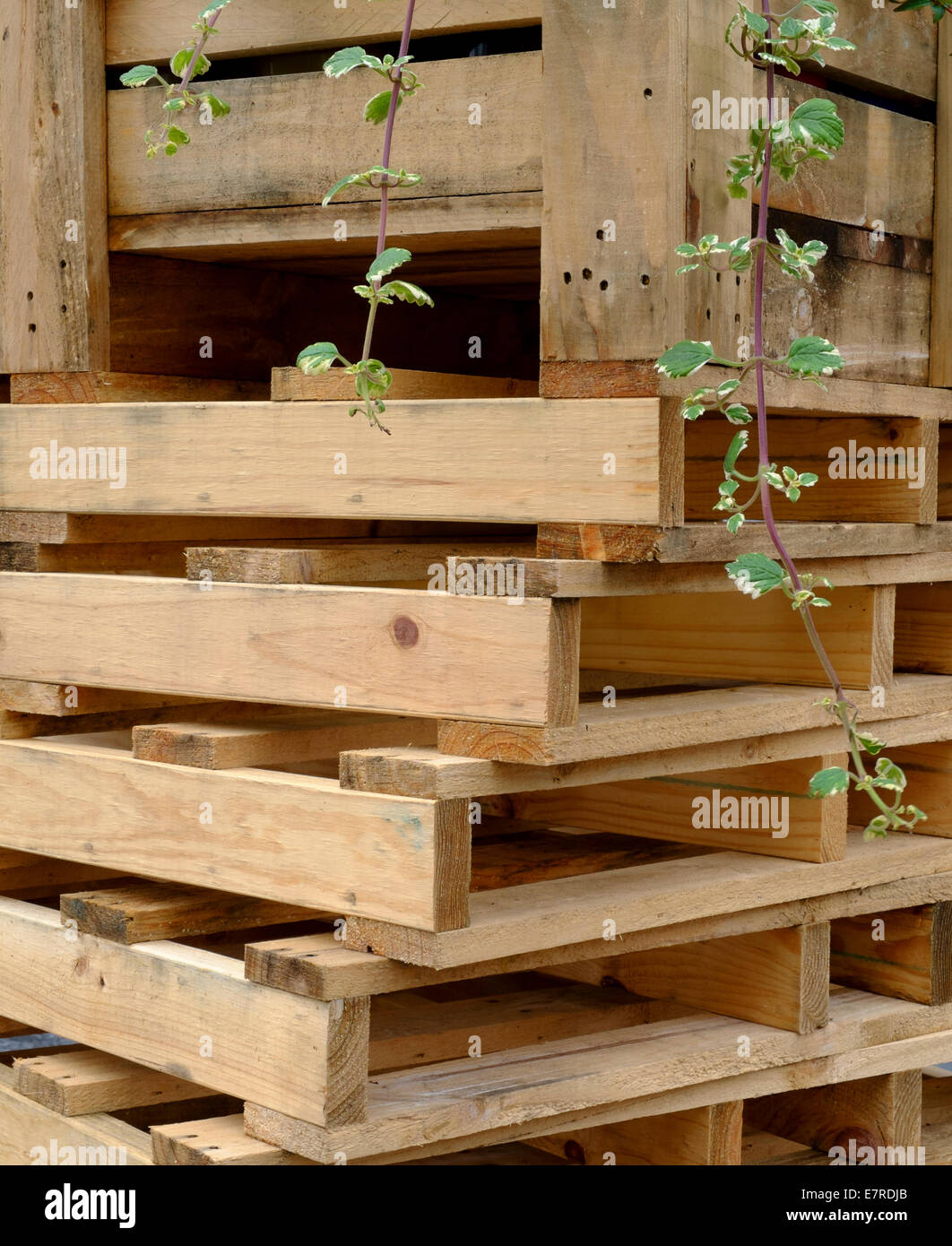 Wooden Pallet Sculpture Stock Photo - Alamy
