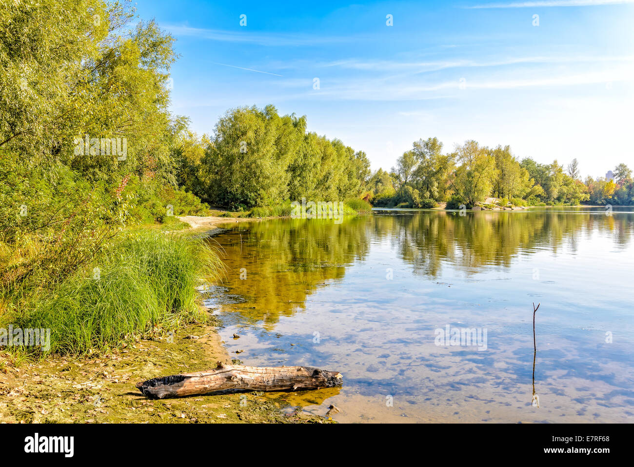 A quiet view of the river under the late summer sun, with trees Stock ...