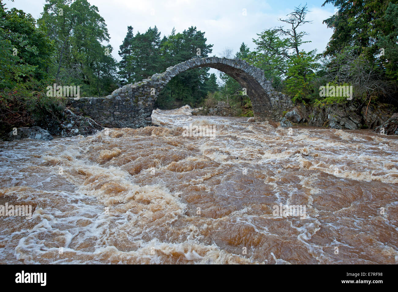 The River Dulnain at Carrbridge Inverness-shire in heavy flood ...