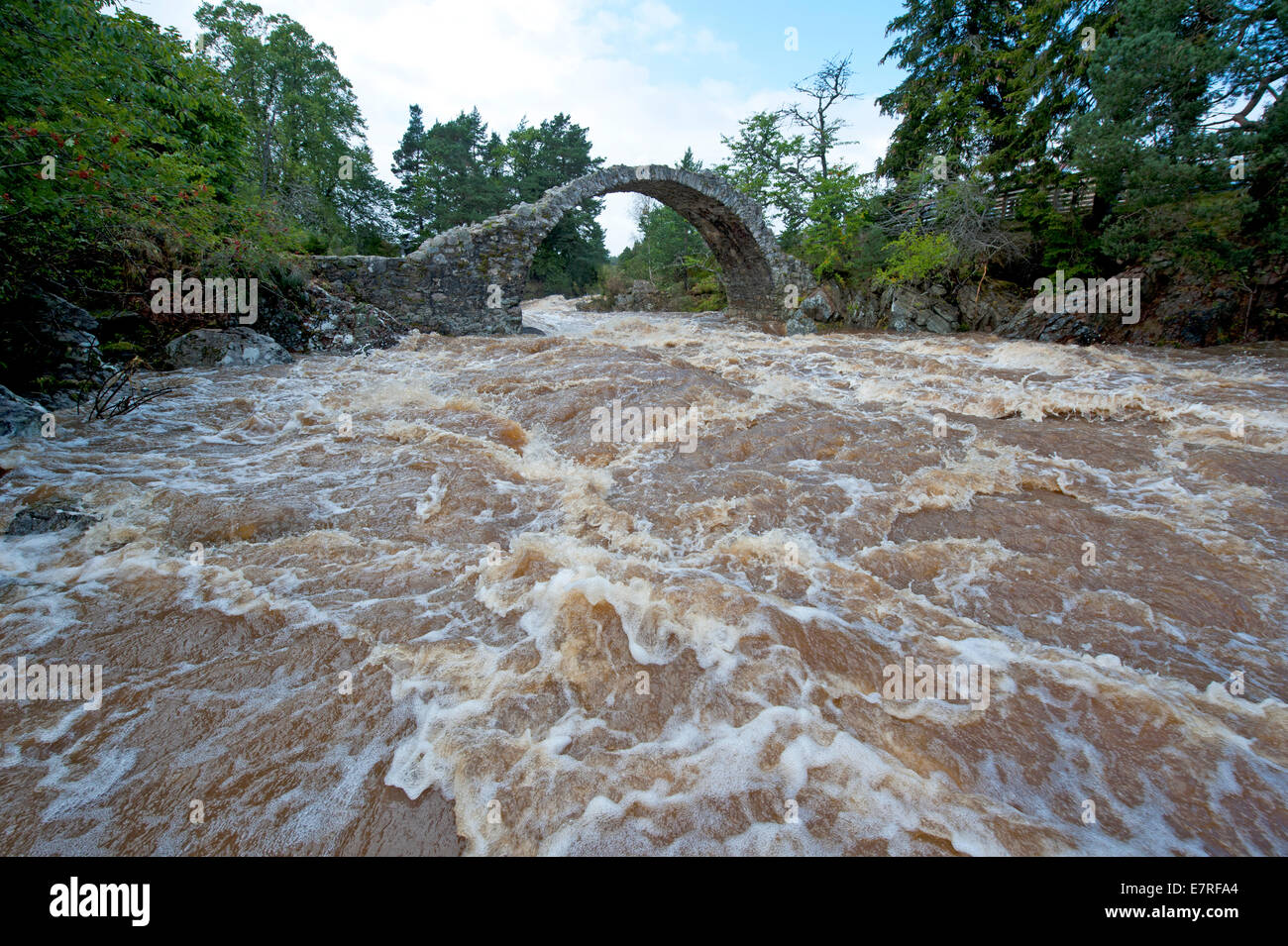 The River Dulnain at Carrbridge Inverness-shire in heavy flood ...