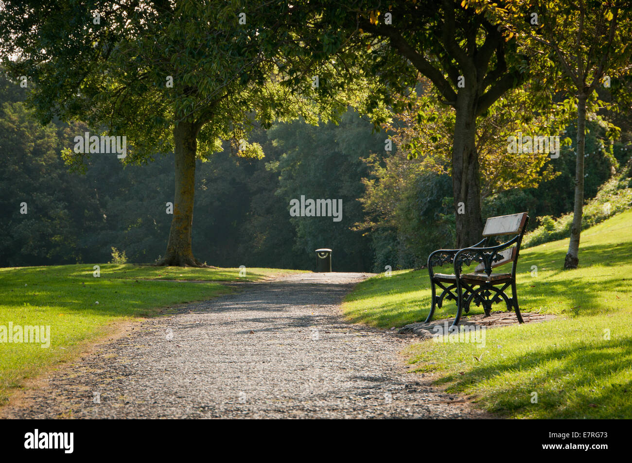 Empty bench trees in park bench hi-res stock photography and images - Alamy