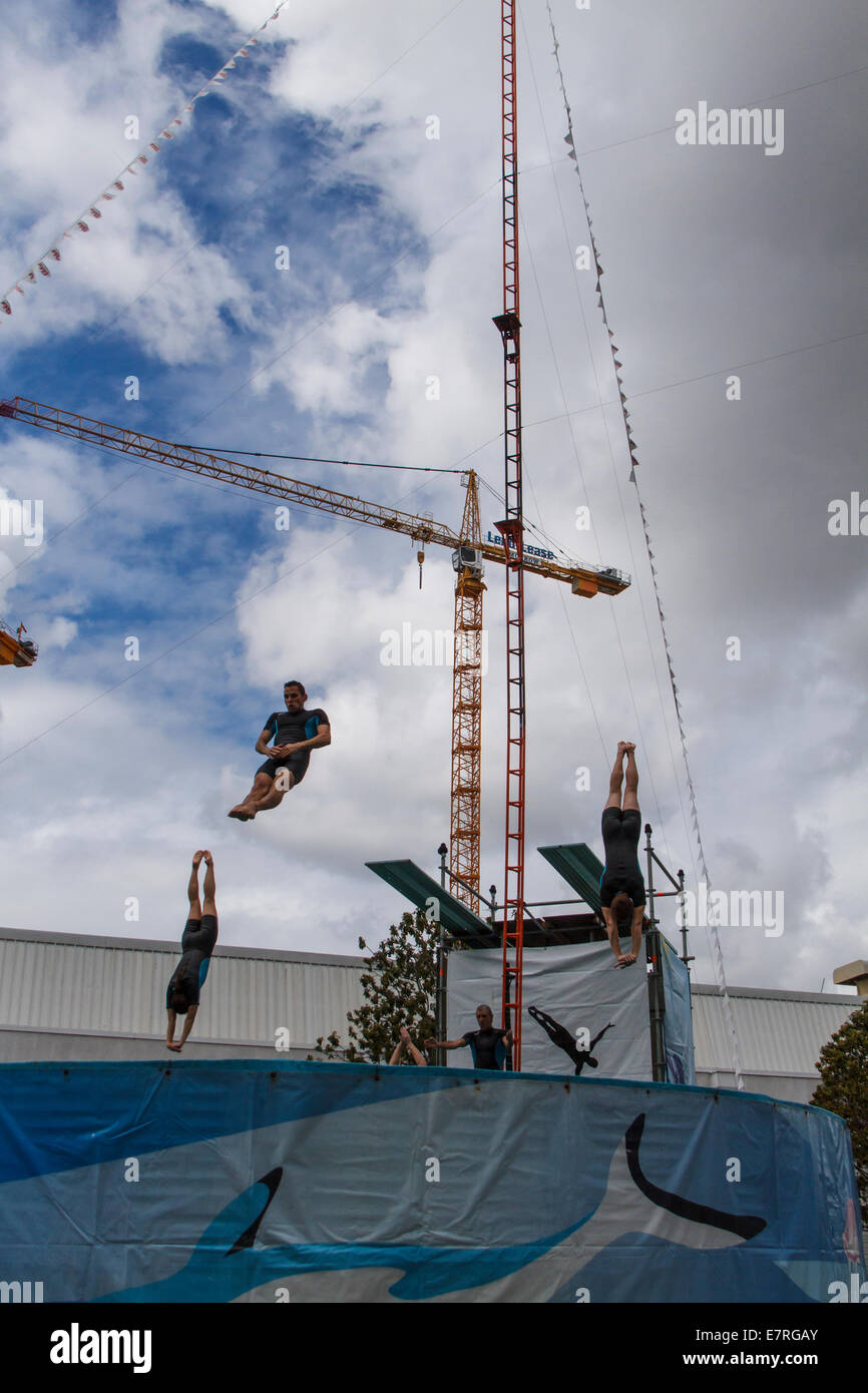 The Extreme High Diving Team performing at the Brisbane Ekka Stock ...