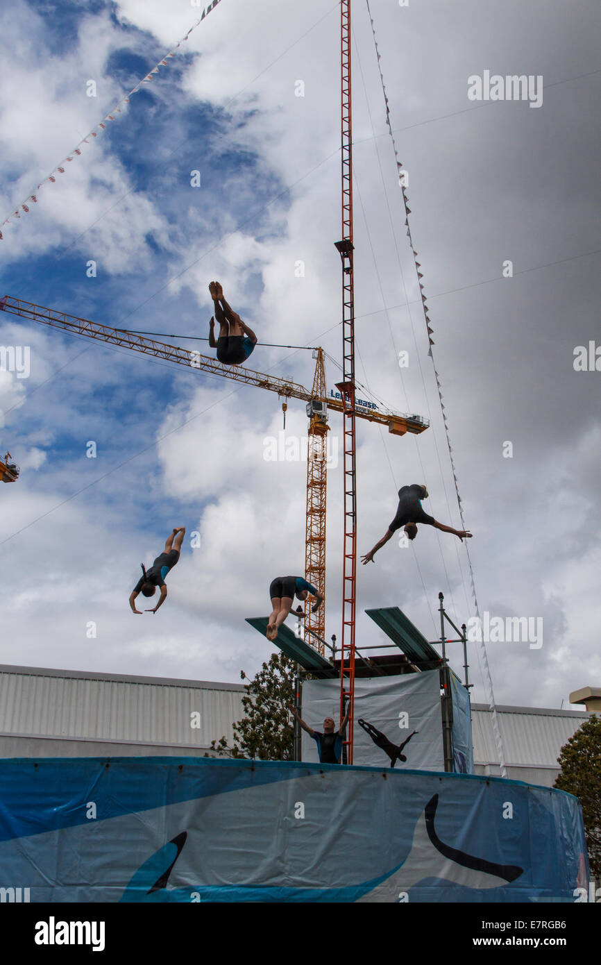 The Extreme High Diving Team performing at the Brisbane Ekka Stock ...