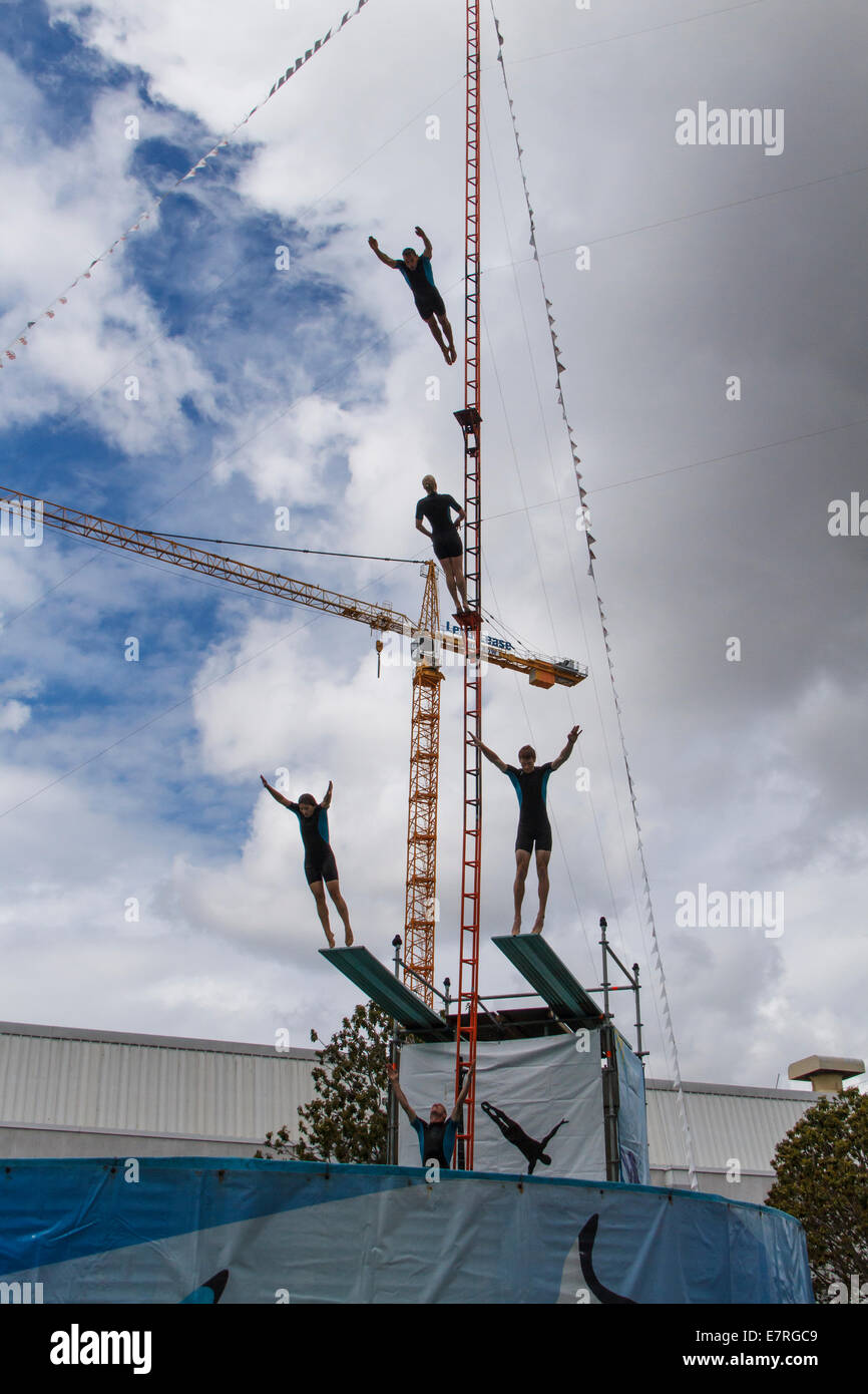 The Extreme High Diving Team performing at the Brisbane Ekka Stock ...