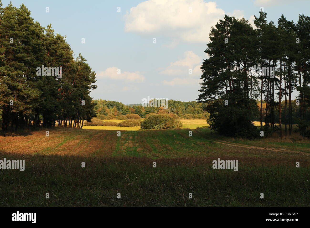 Brandenburg land hi-res stock photography and images - Alamy