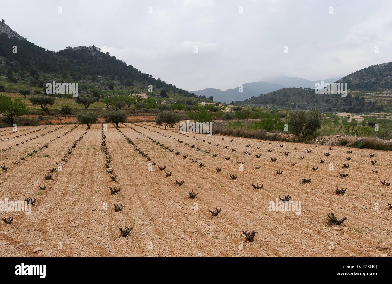 Rural spain hi-res stock photography and images - Alamy