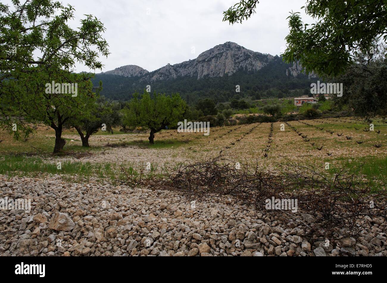 Rural spain hi-res stock photography and images - Alamy