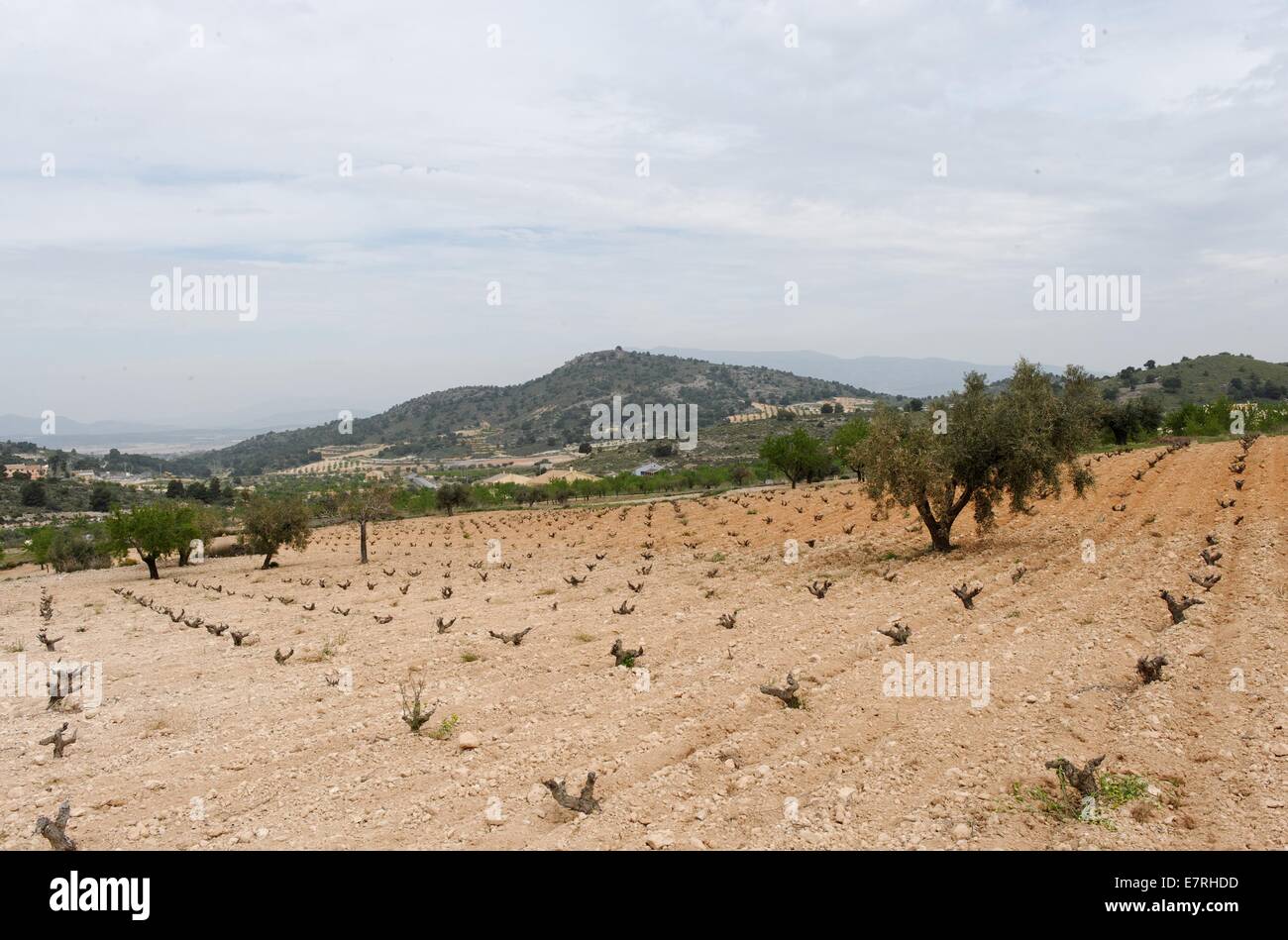 Rural spain hi-res stock photography and images - Alamy