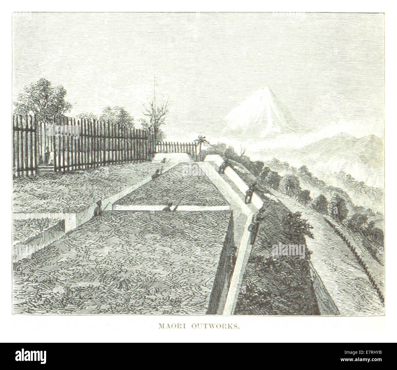 This 1873 illustration by Alexander showcases the Maori outworks of New ...