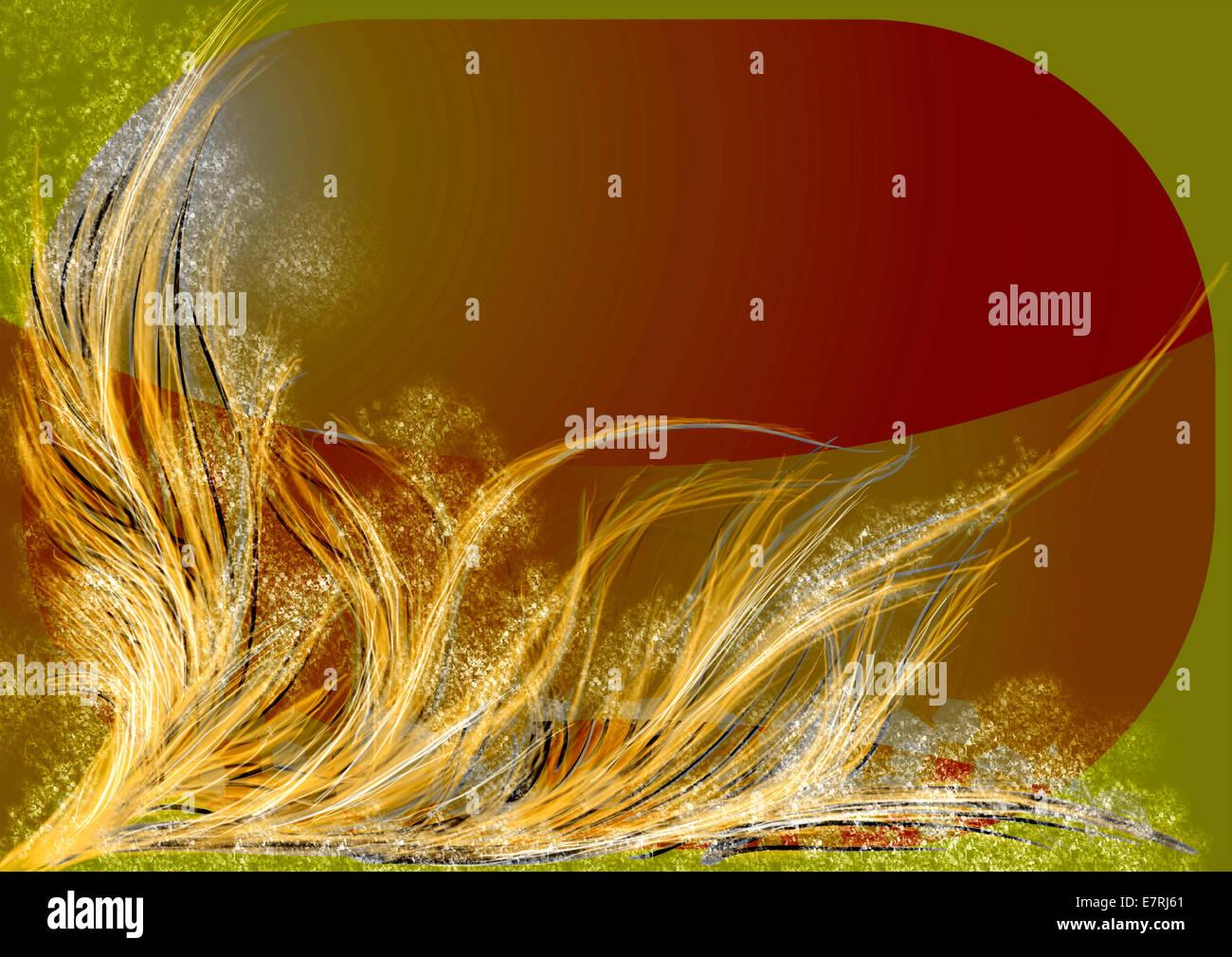 Sparse feathers hi-res stock photography and images - Alamy