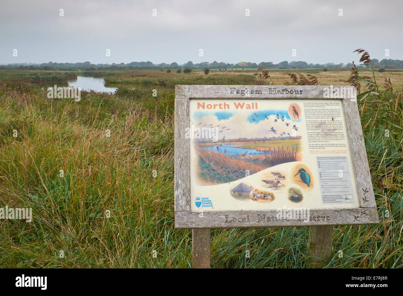 Pagham harbour nature reserve hi-res stock photography and images - Alamy