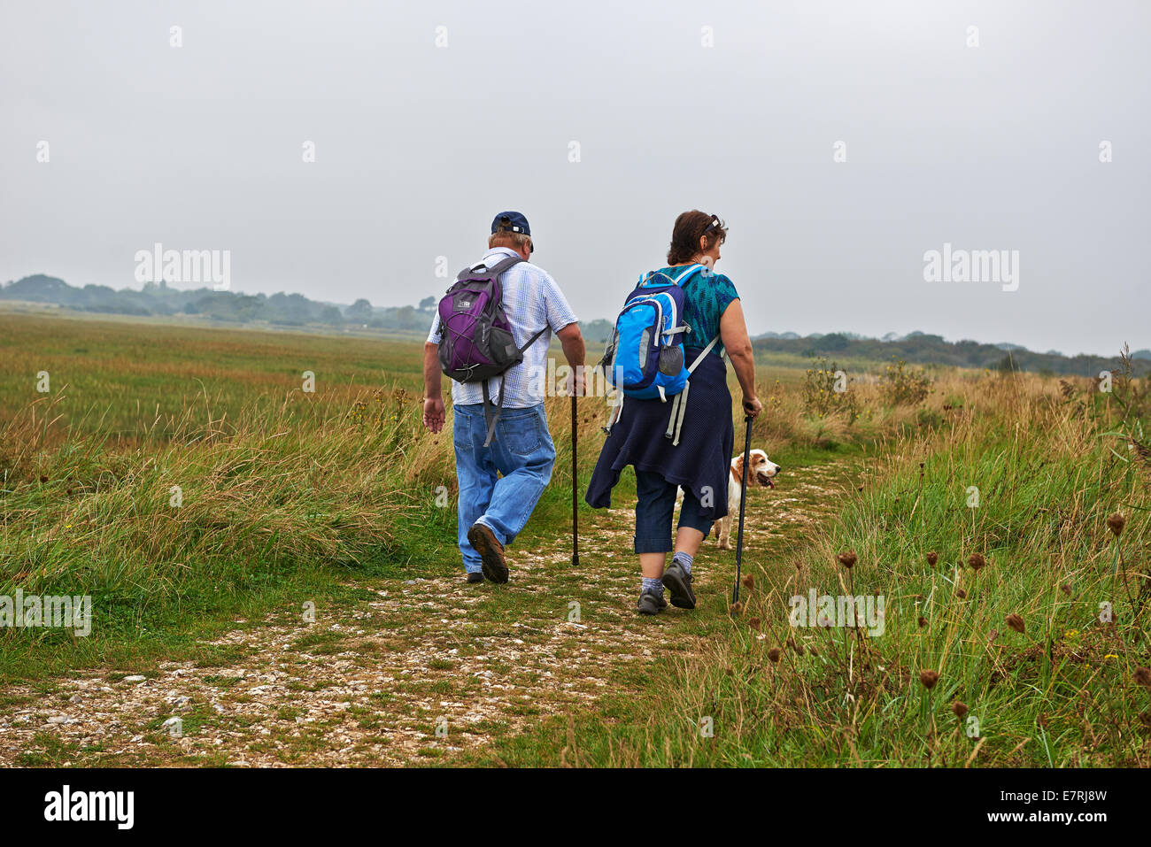 Ramblers Walking Stick High Resolution Stock Photography and Images - Alamy