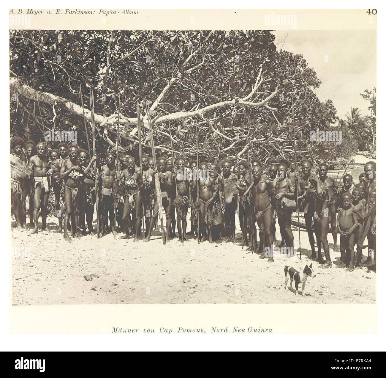 Indigenous illustrations Cut Out Stock Images & Pictures - Alamy